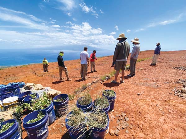 KIRC seeks $400K more to keep up operations | News, Sports, Jobs - Maui ...